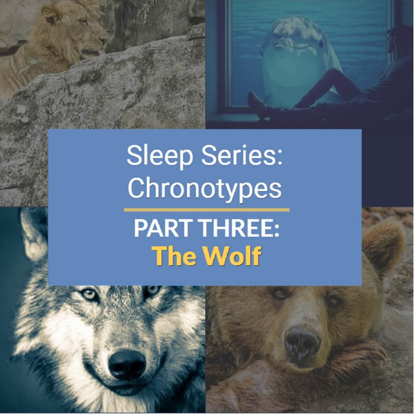 The Wolf Sleep Chronotype - SoundOff Sleep